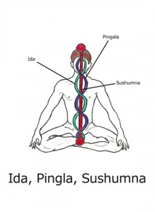 NADI – Nithya Yoga