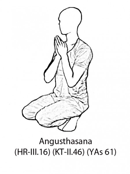 Aṅguṣṭhāsana – Nithya Yoga