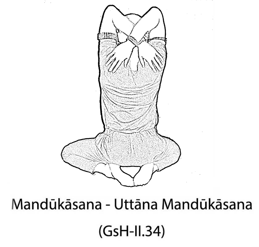 Uttāna Maṇḍūkāsana – Nithyananda Yoga